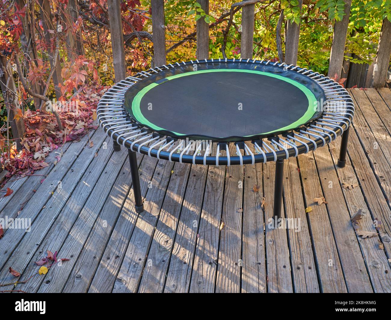mini trampoline for fitness exercising and rebounding in a backyard ...