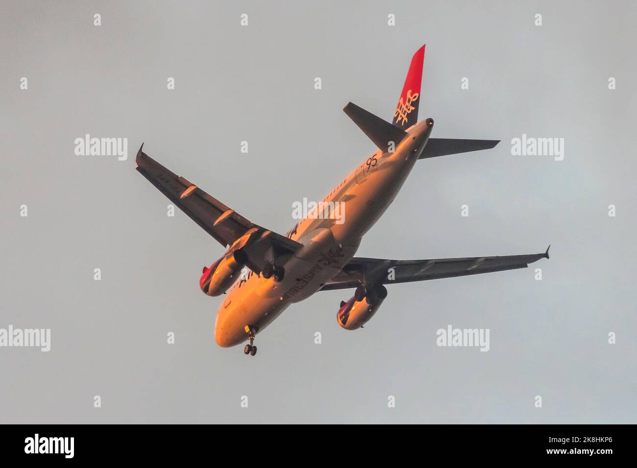 Air Serbia Airbus A319 passenger airplane in flight approaching airport ...