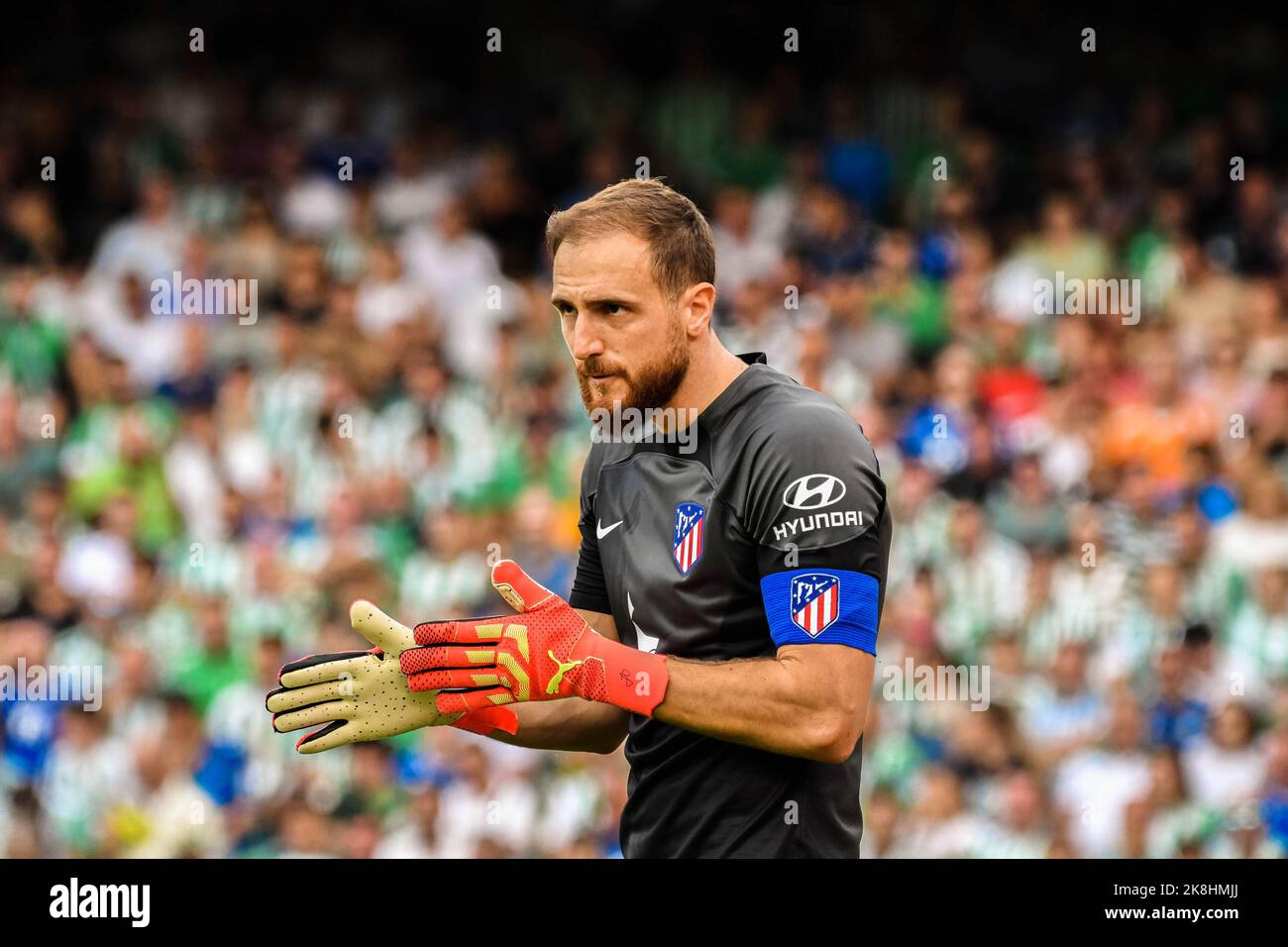 Jan oblack hi-res stock photography and images - Alamy