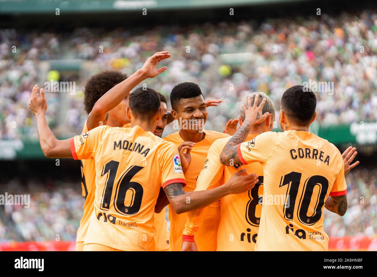 Real betis 2022 celebrating hi-res stock photography and images - Alamy