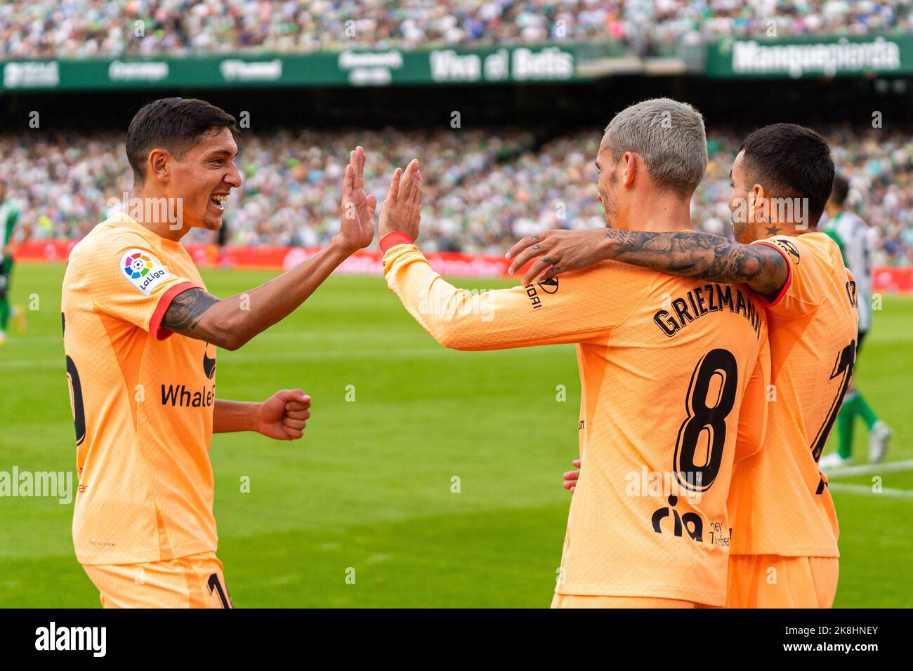 Real betis 2022 celebrating hi-res stock photography and images - Alamy