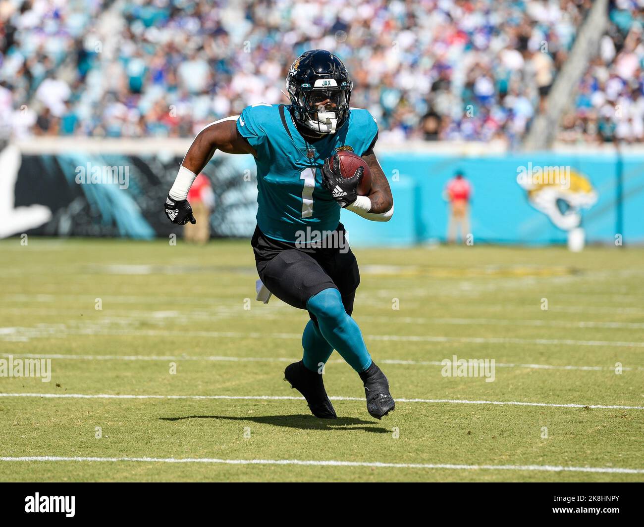 2022 0088 jpg hi-res stock photography and images - Alamy