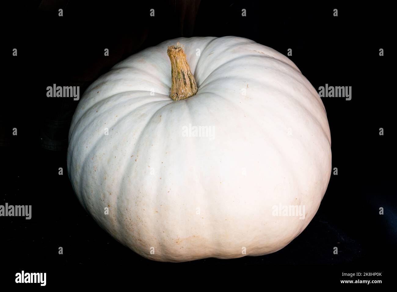 Fall festivals abound this autumn with colorful pumpkins, gourds, and ...
