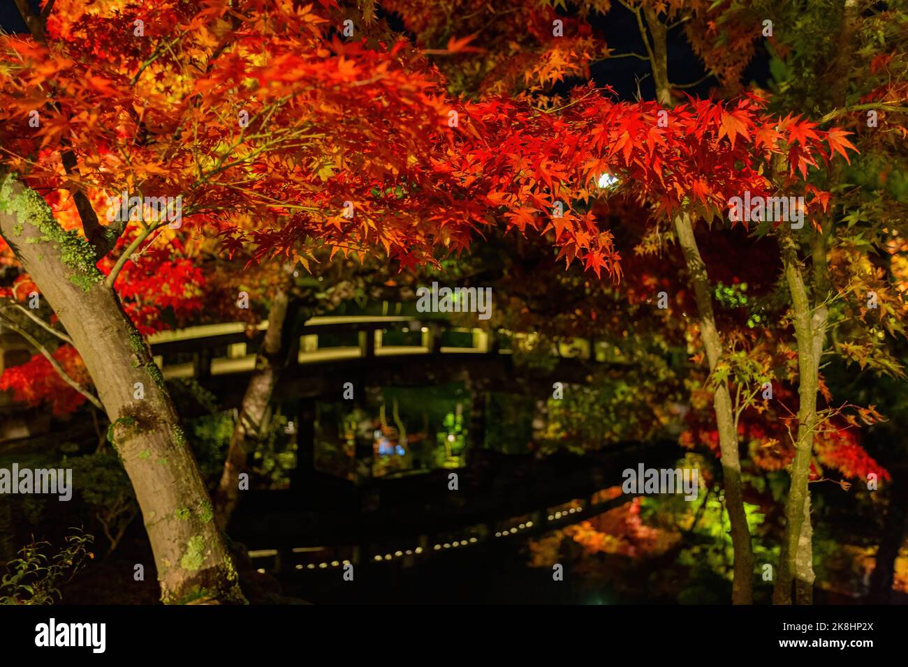 Night fall landscape in the Zenrin-ji Temple at Kyoto, Japan Stock ...