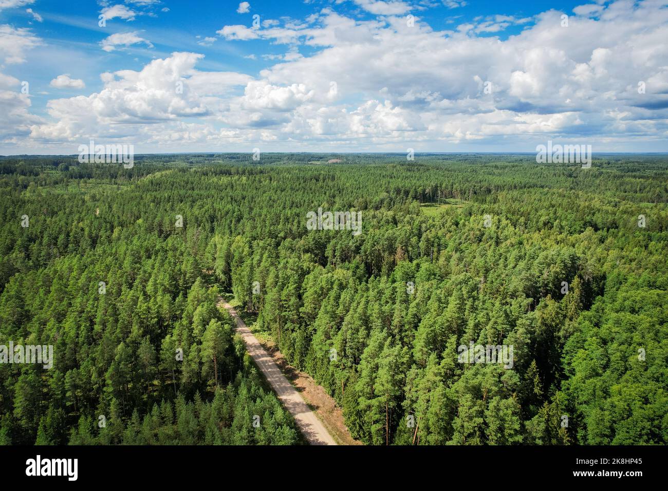Aerial view from drone of concrete road leading through spring dense ...
