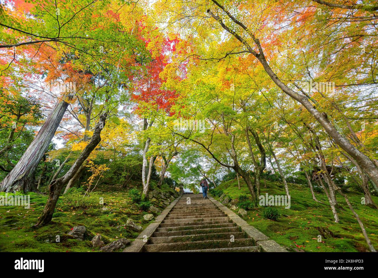 Superb view, fall color at Jojakko-ji Temple, Japan in the autumn ...