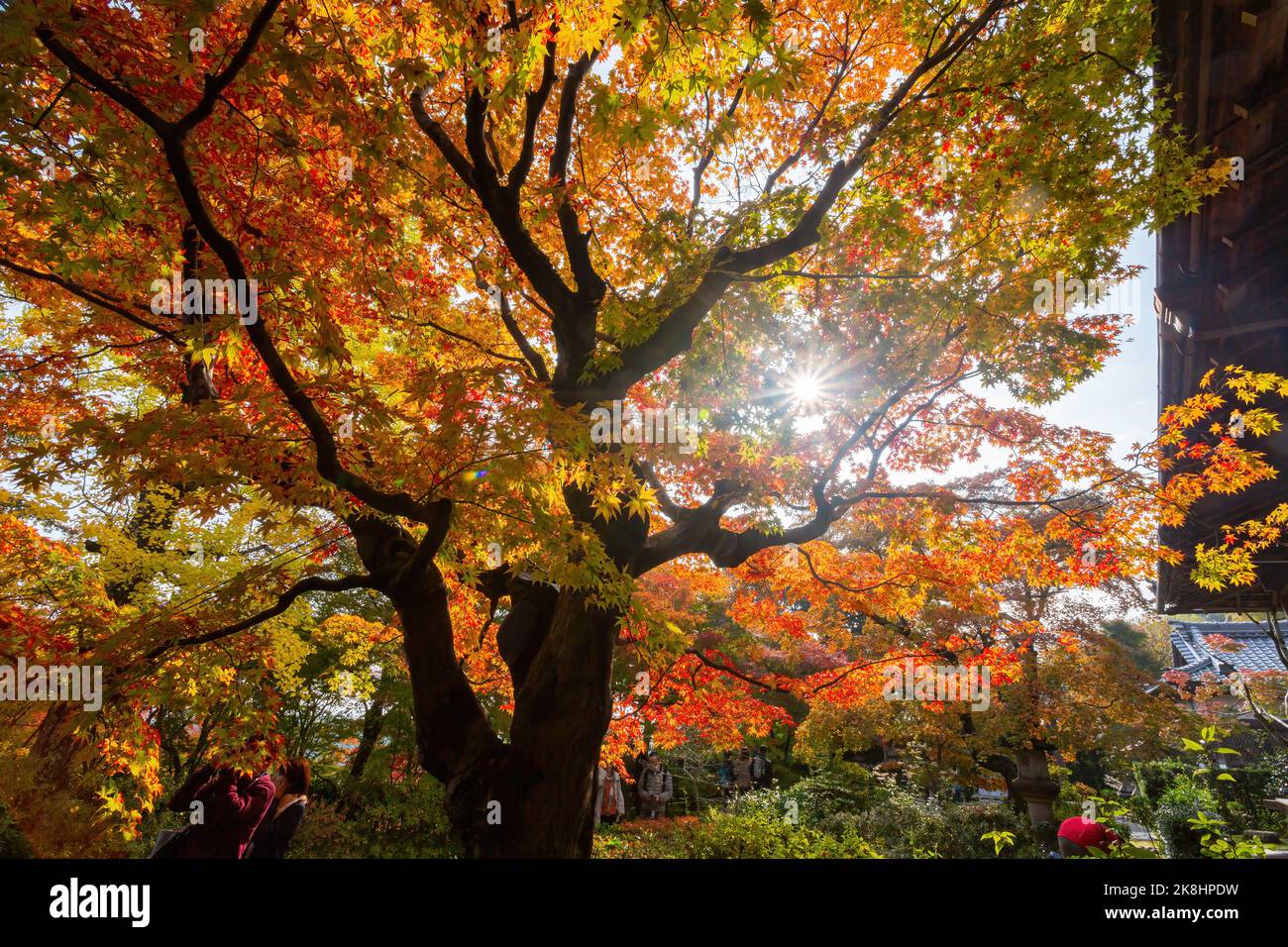 Superb view, fall color at Jojakko-ji Temple, Japan in the autumn ...