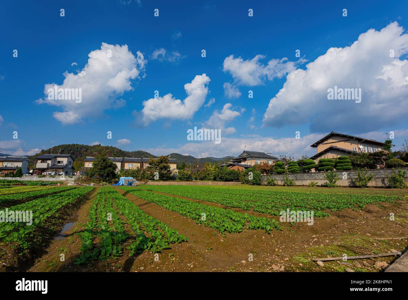 Rural kyoto hi-res stock photography and images - Alamy