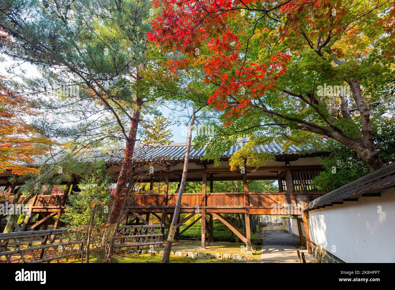 Sunny autumn landsacpe at Seiryo-ji Temple, Arashiyama, Kyoto, Japan ...
