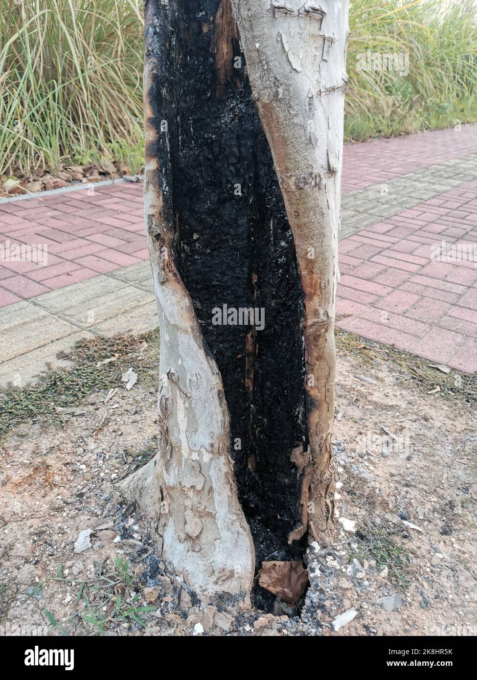 Oct 22 2022 hi-res stock photography and images - Alamy