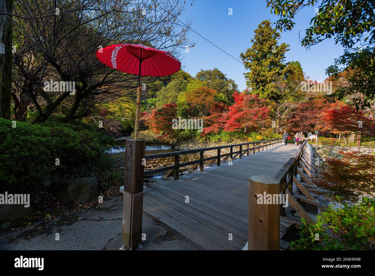 Daytime view of the fall color around Takano River at Kyoto, Japan ...