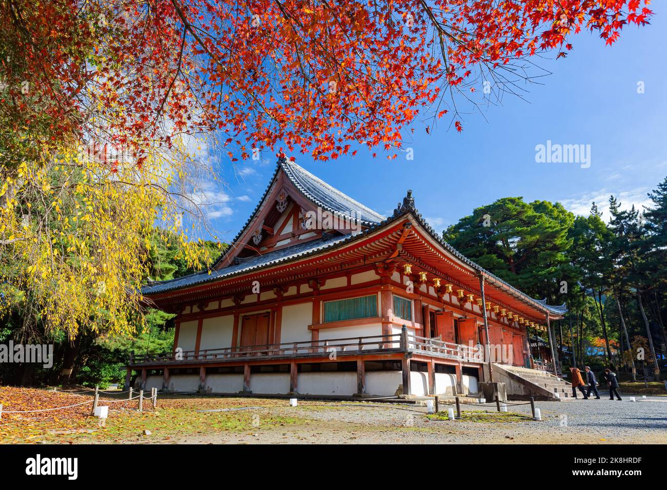 Sunny view of the beautiful fall color of Kondo, Daigoji Temple at ...