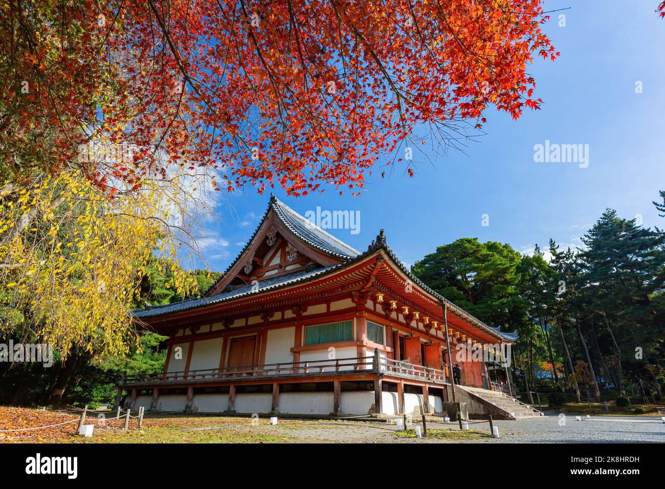 Sunny view of the beautiful fall color of Kondo, Daigoji Temple at ...