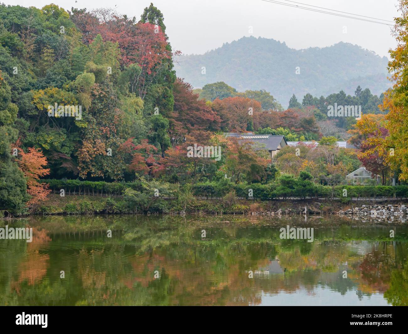 Overcast autumn landsacpe at Arashiyama, Kyoto, Japan Stock Photo - Alamy