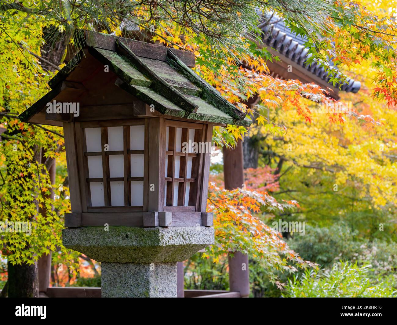 Superb view, fall color at Jojakko-ji Temple, Japan in the autumn ...