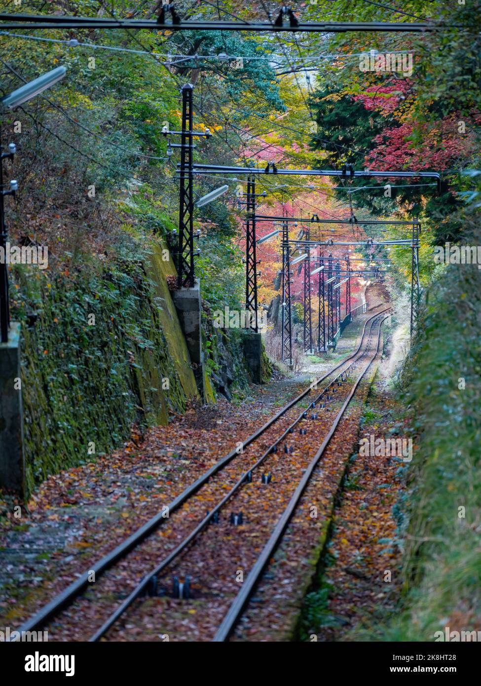 Daytime view of the beautiful fall color along the Eizan Cable Car ...