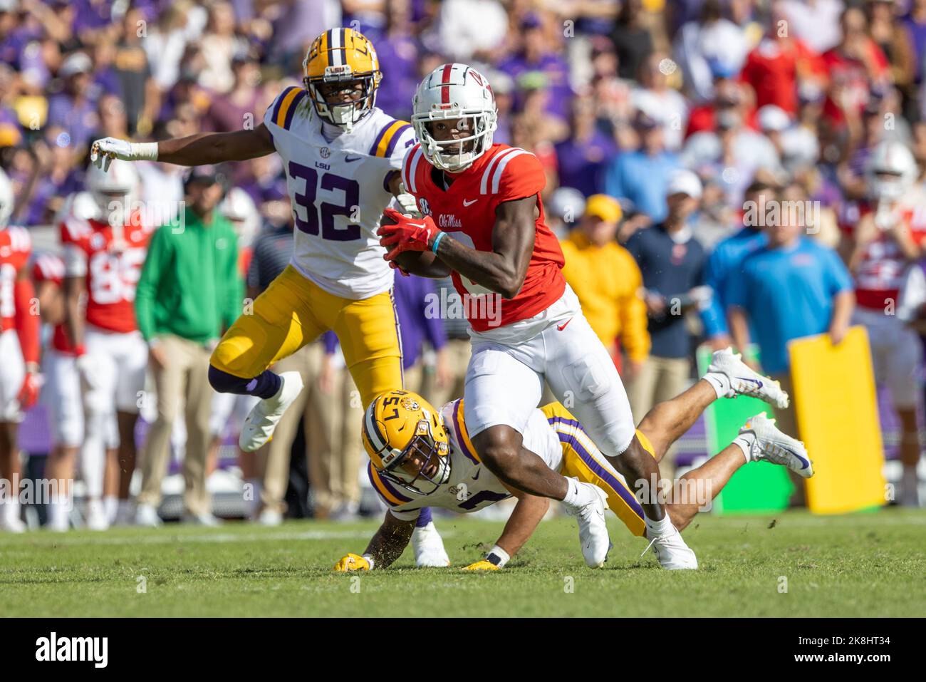 Greg tolan hi-res stock photography and images - Alamy