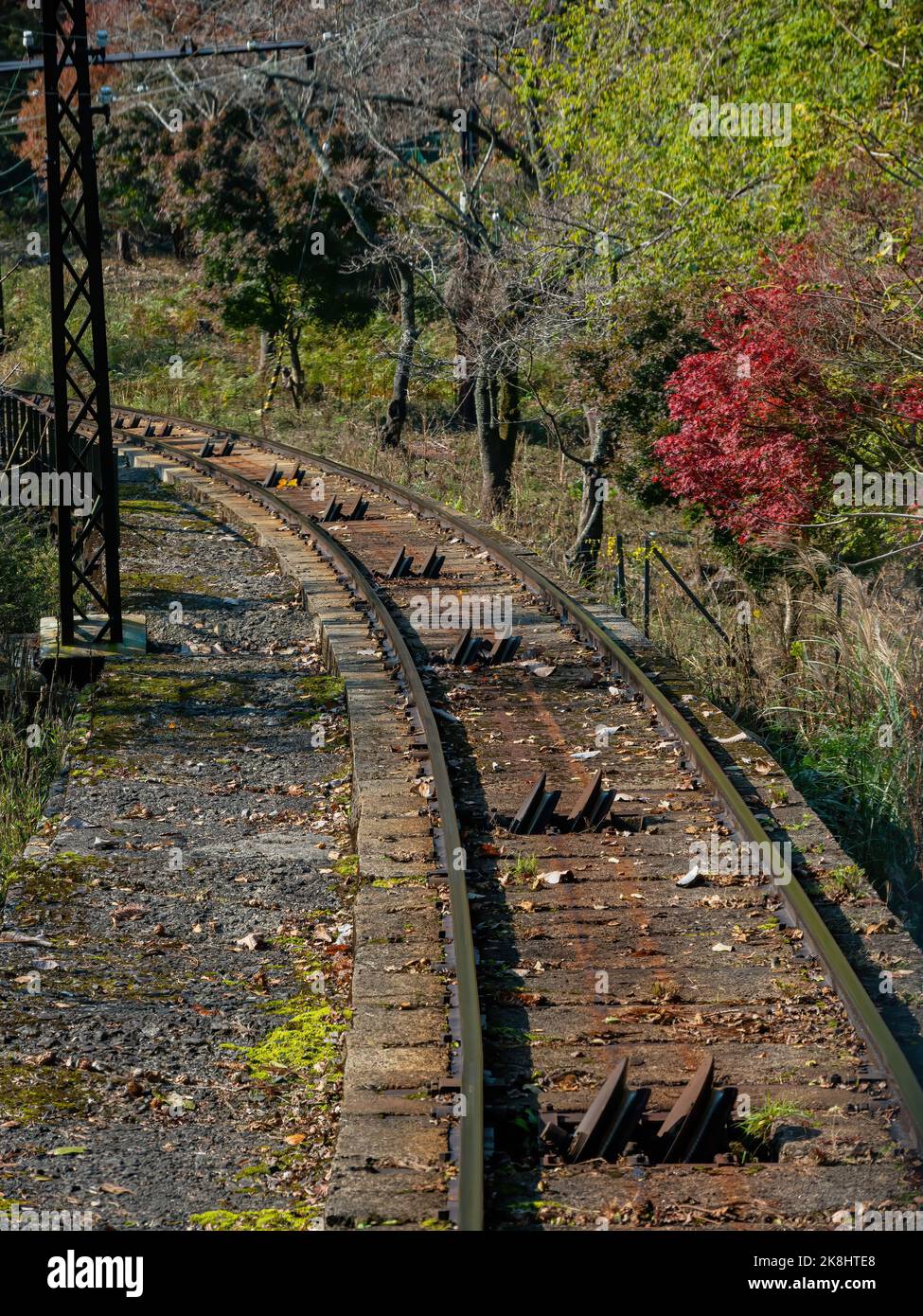 Daytime view of the beautiful fall color along the Eizan Cable Car ...