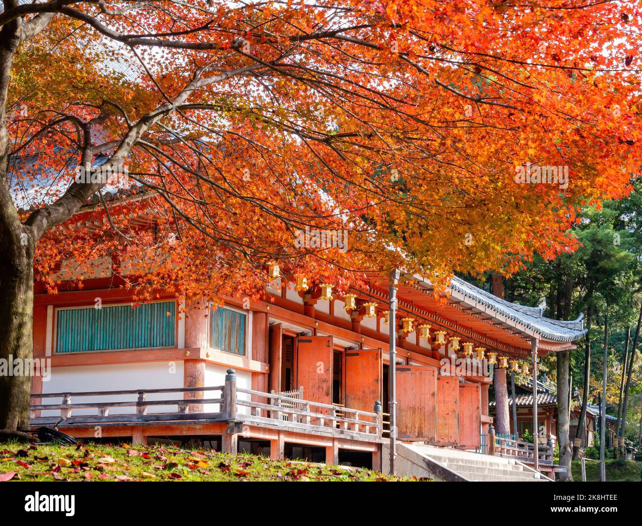 Sunny view of the beautiful fall color of Kondo, Daigoji Temple at ...