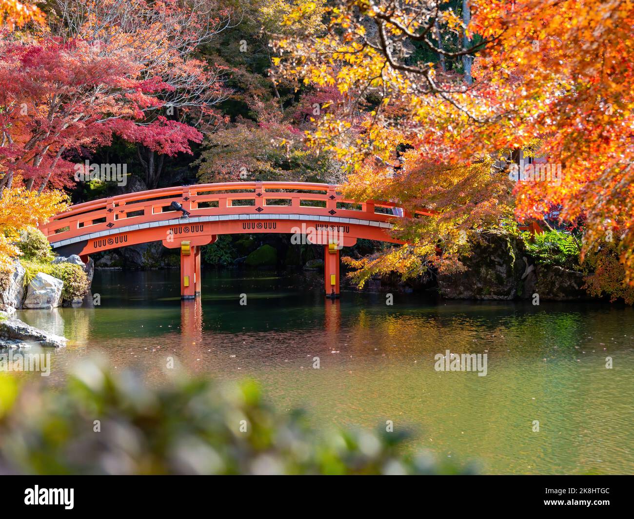 Sunny view of the beautiful fall color of a red bridge in Daigoji ...