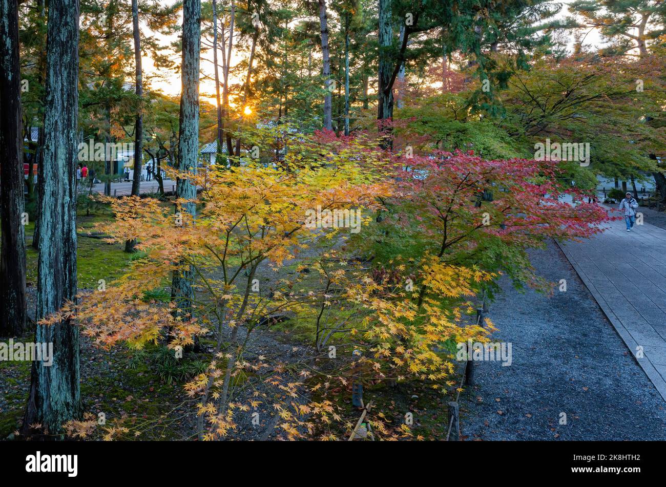 Beautiful fall color near the Tenju-an Temple at Kyoto, Japan Stock ...