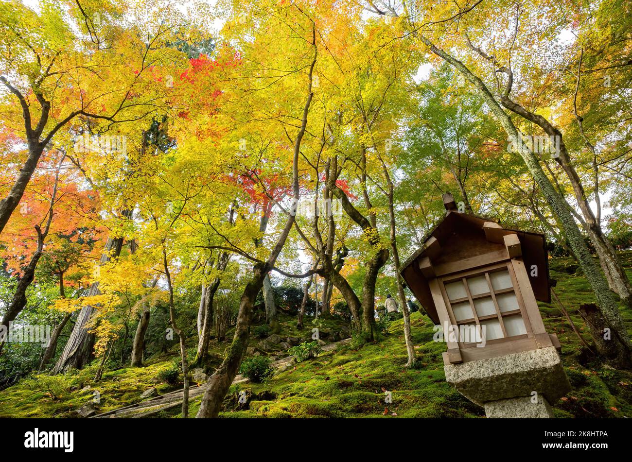 Superb view, fall color at Jojakko-ji Temple, Japan in the autumn ...