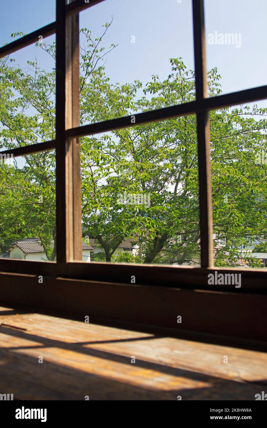 Cherry Leaves through the Window Stock Photo - Alamy
