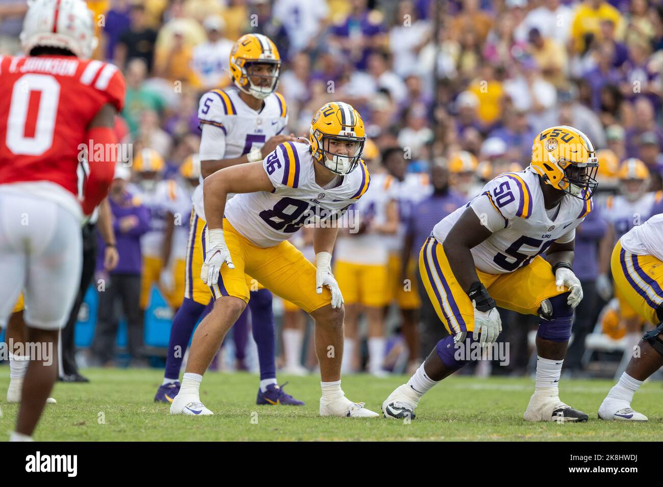 Baton Rouge, United States. 22nd Oct, 2022. LSU Tigers tight end Mason ...