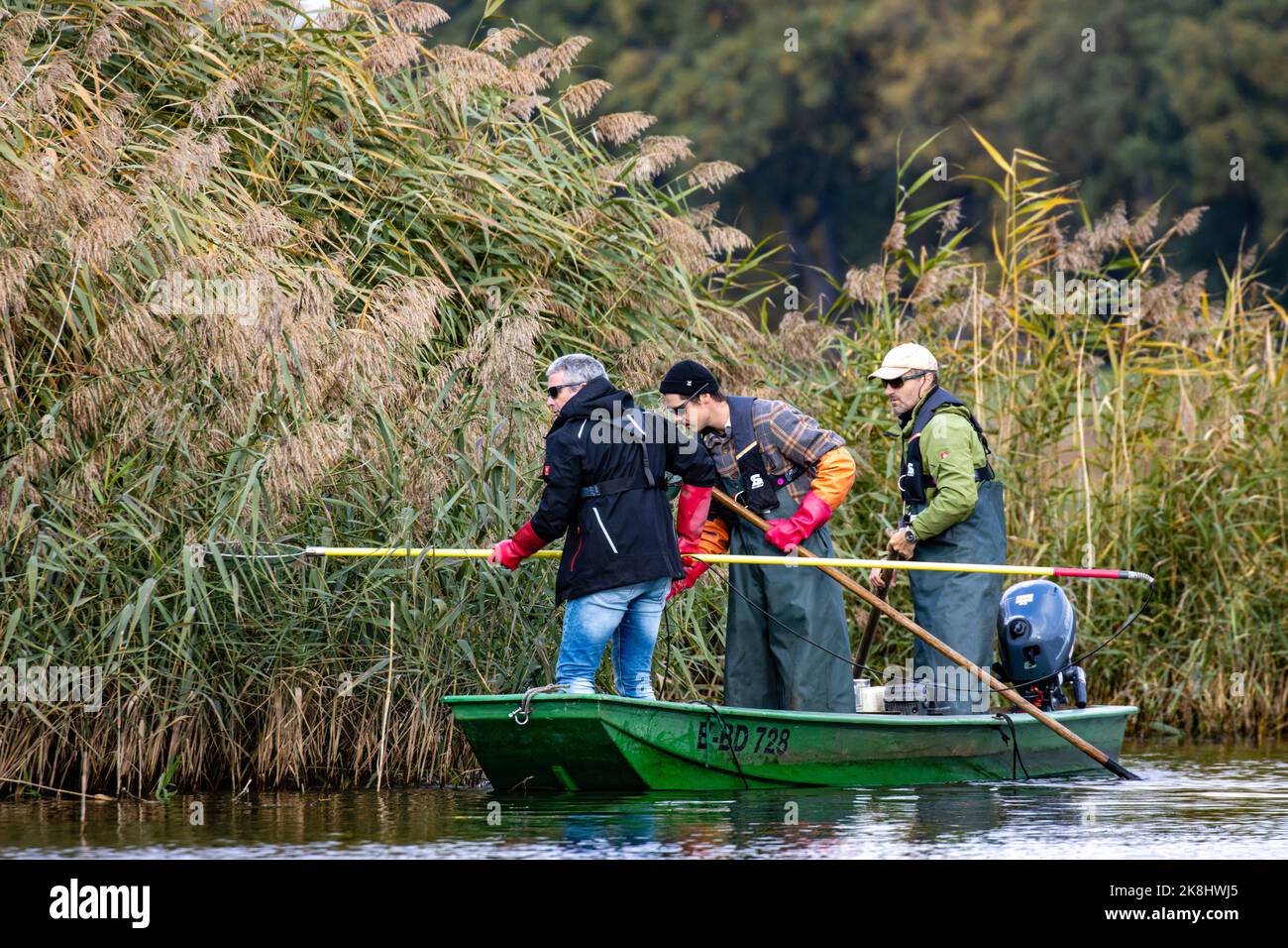 PRODUCTION - 19 October 2022, Brandenburg, Reitwein: Fisheries ...
