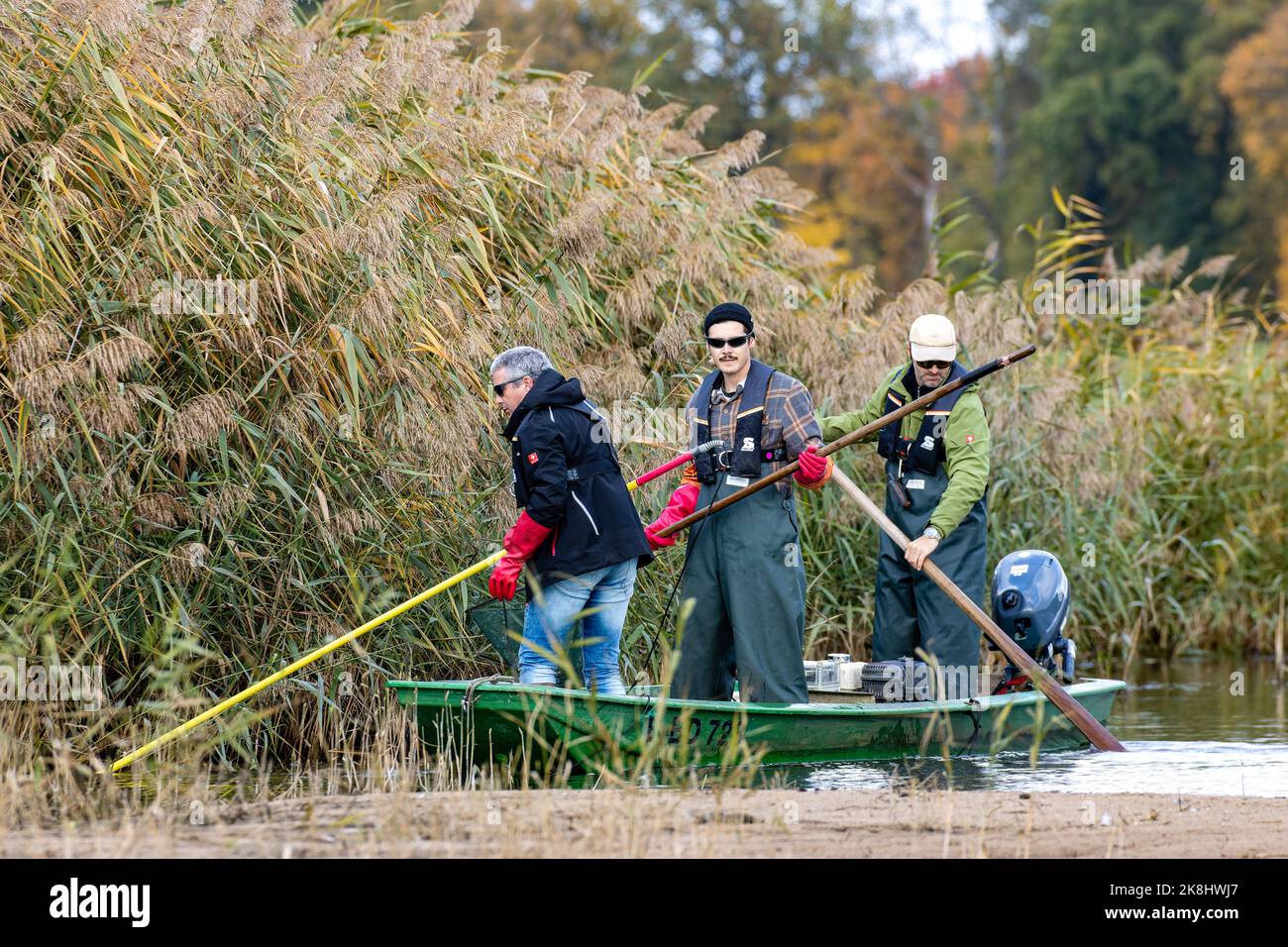 PRODUCTION - 19 October 2022, Brandenburg, Reitwein: Fisheries ...