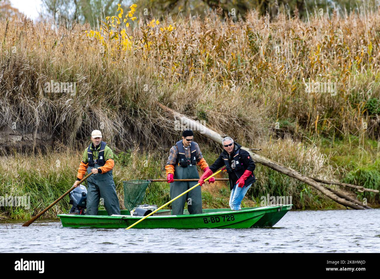 PRODUCTION - 19 October 2022, Brandenburg, Reitwein: Fisheries ...