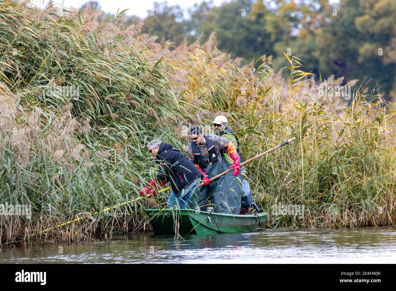 PRODUCTION - 19 October 2022, Brandenburg, Reitwein: Fisheries ...