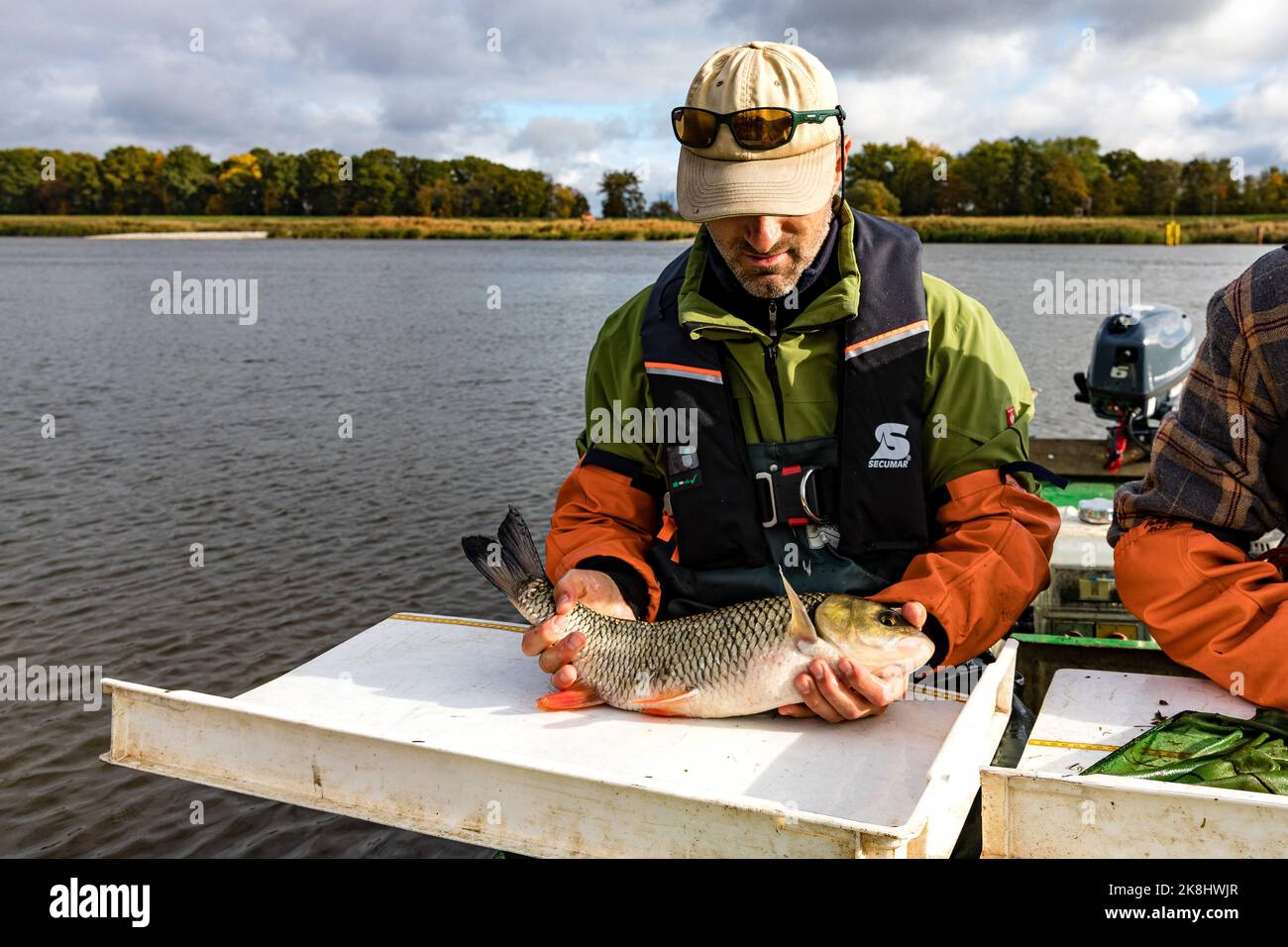 PRODUCTION - 19 October 2022, Brandenburg, Reitwein: Fisheries ...
