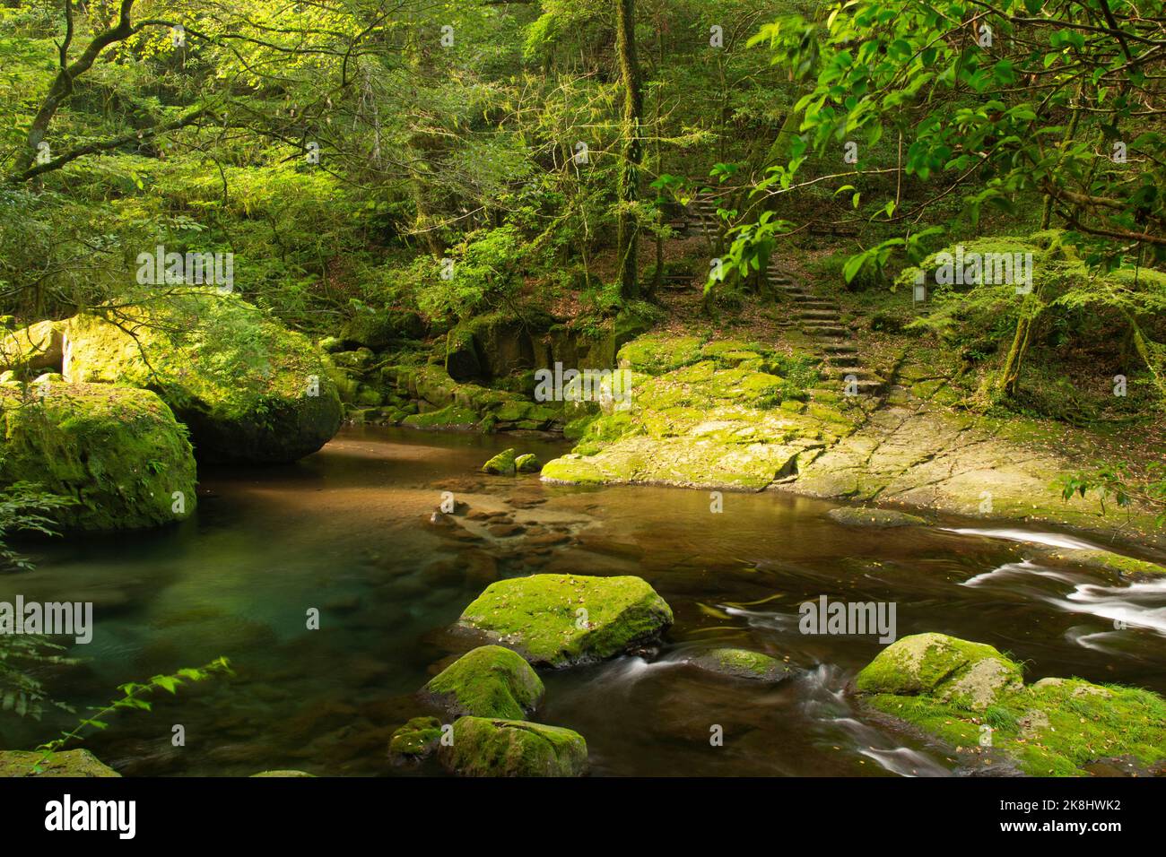 Kikuchi Gorge in Summer, Kumamoto Prefecture, Japan Stock Photo - Alamy