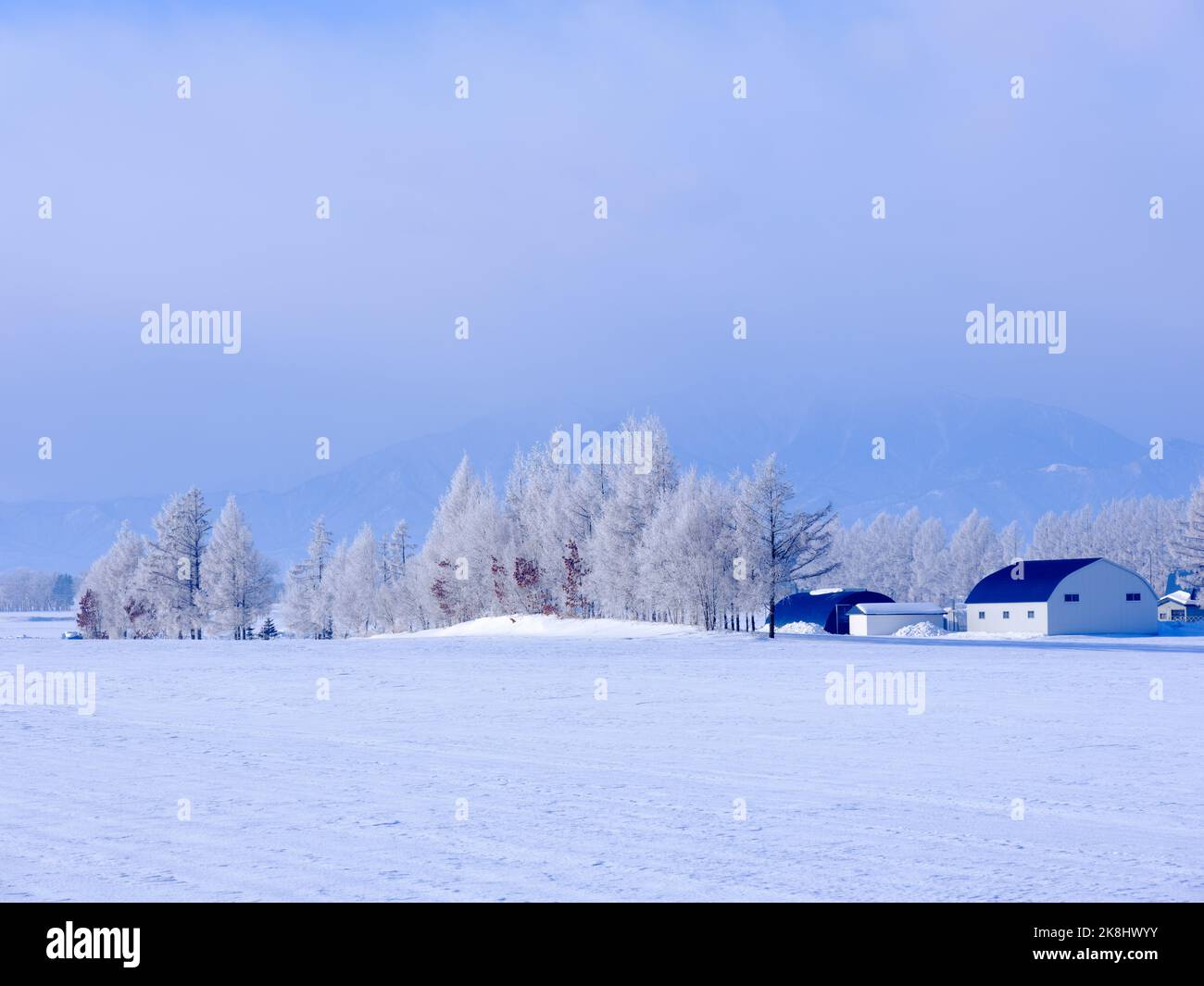 Tokachi Plain in Winter Stock Photo - Alamy