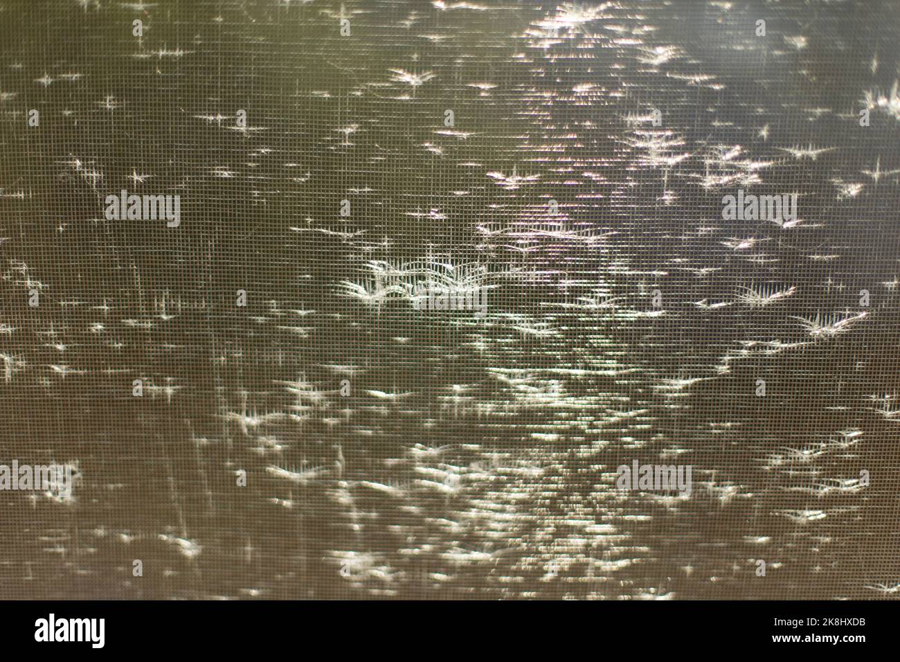 Sunlight on masked grid. Texture of bright rays. Glare on fine mosquito ...