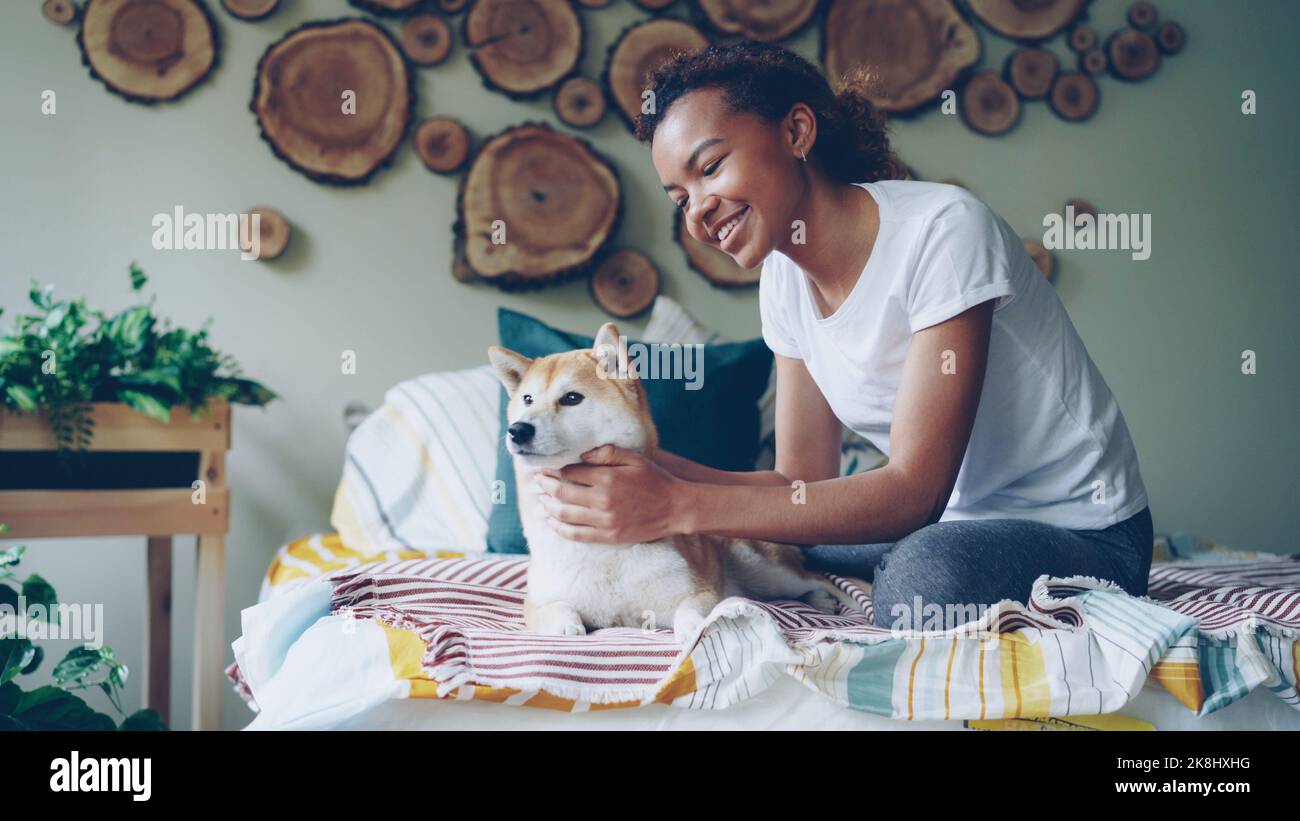 Happy African American teenage girl is caressing adorable pet dog ...