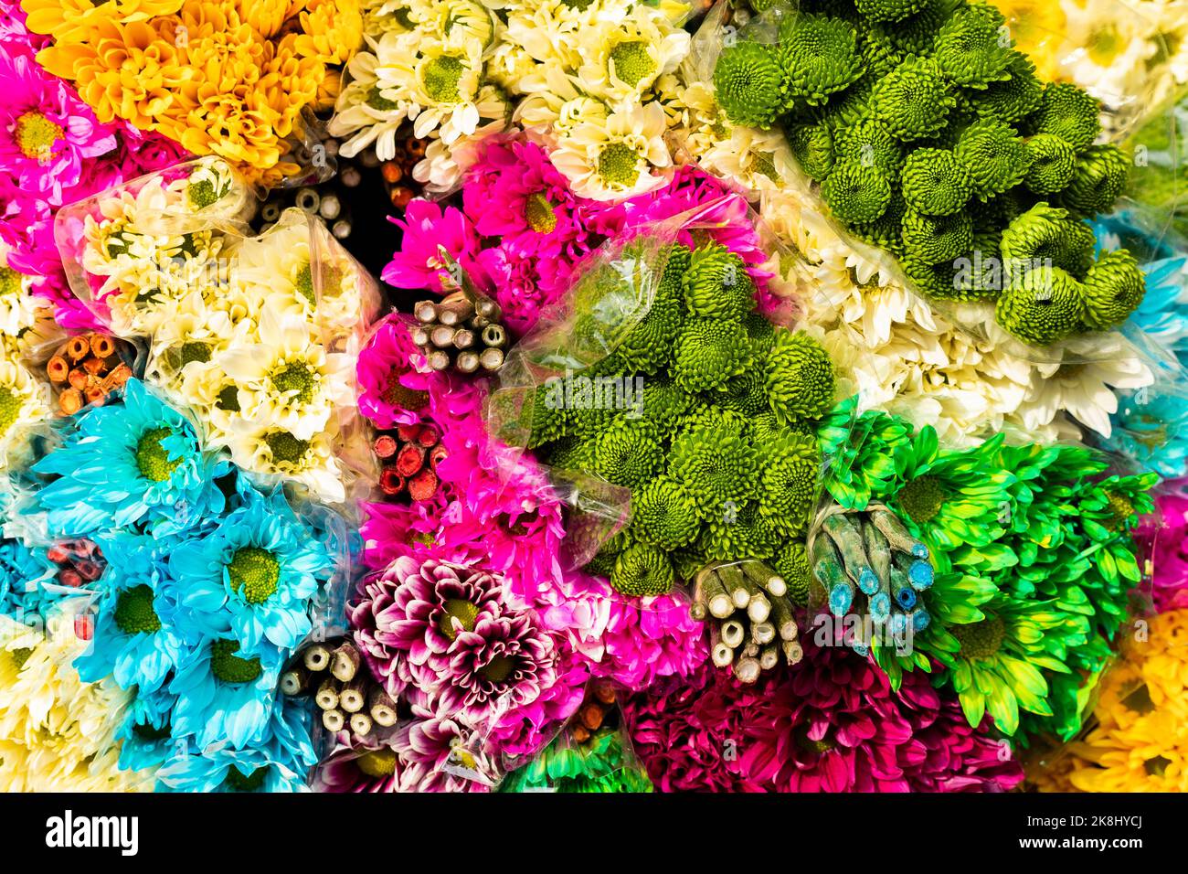 Colorful and exotic Colombian flowers in the market square Stock Photo ...
