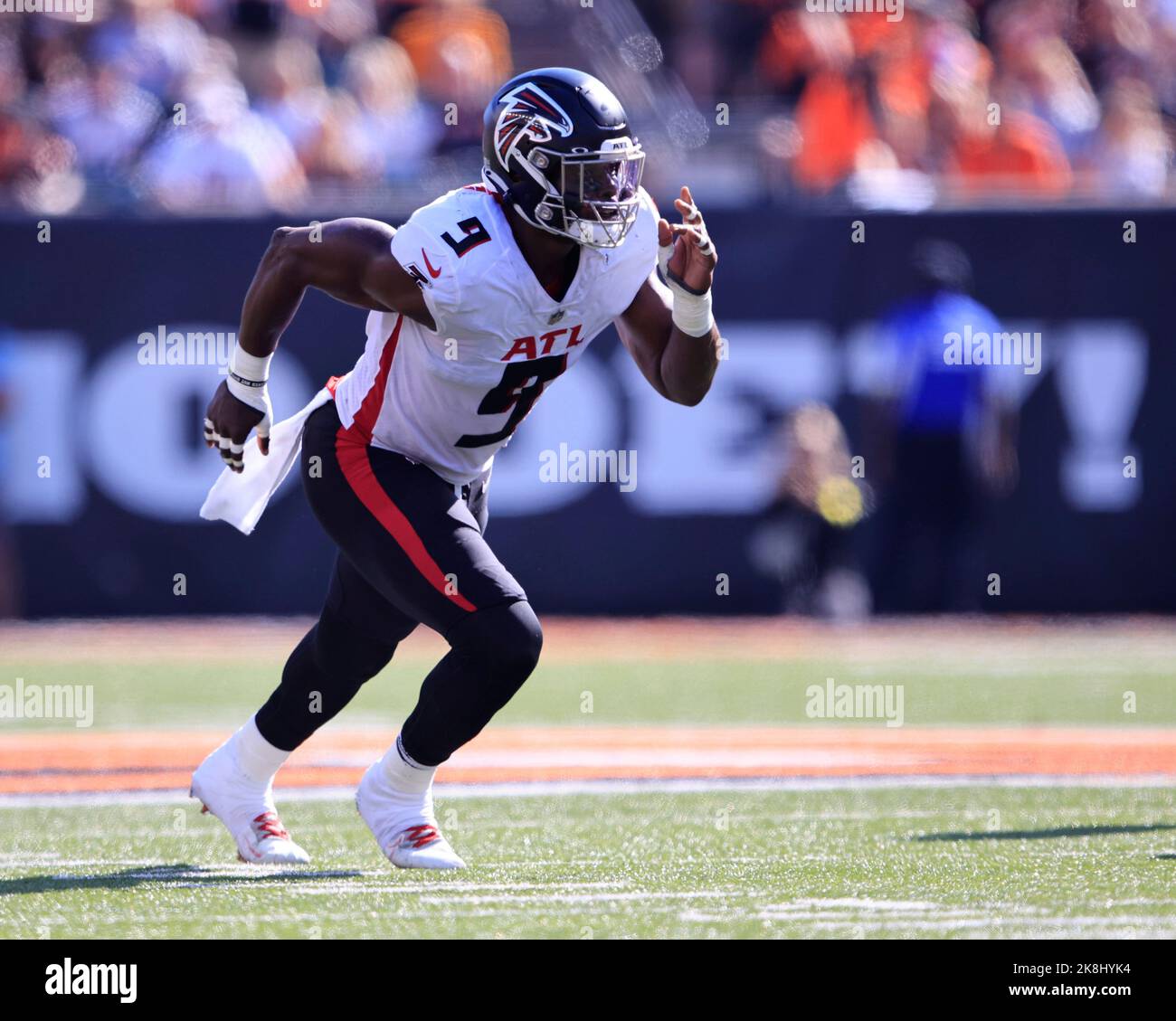 Lorenzo carter falcons hi-res stock photography and images - Alamy