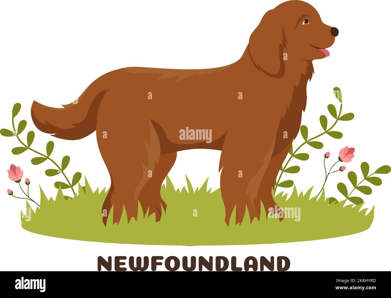 Newfoundland Dog Animals with Black, Brown or Landseer Color in Flat ...