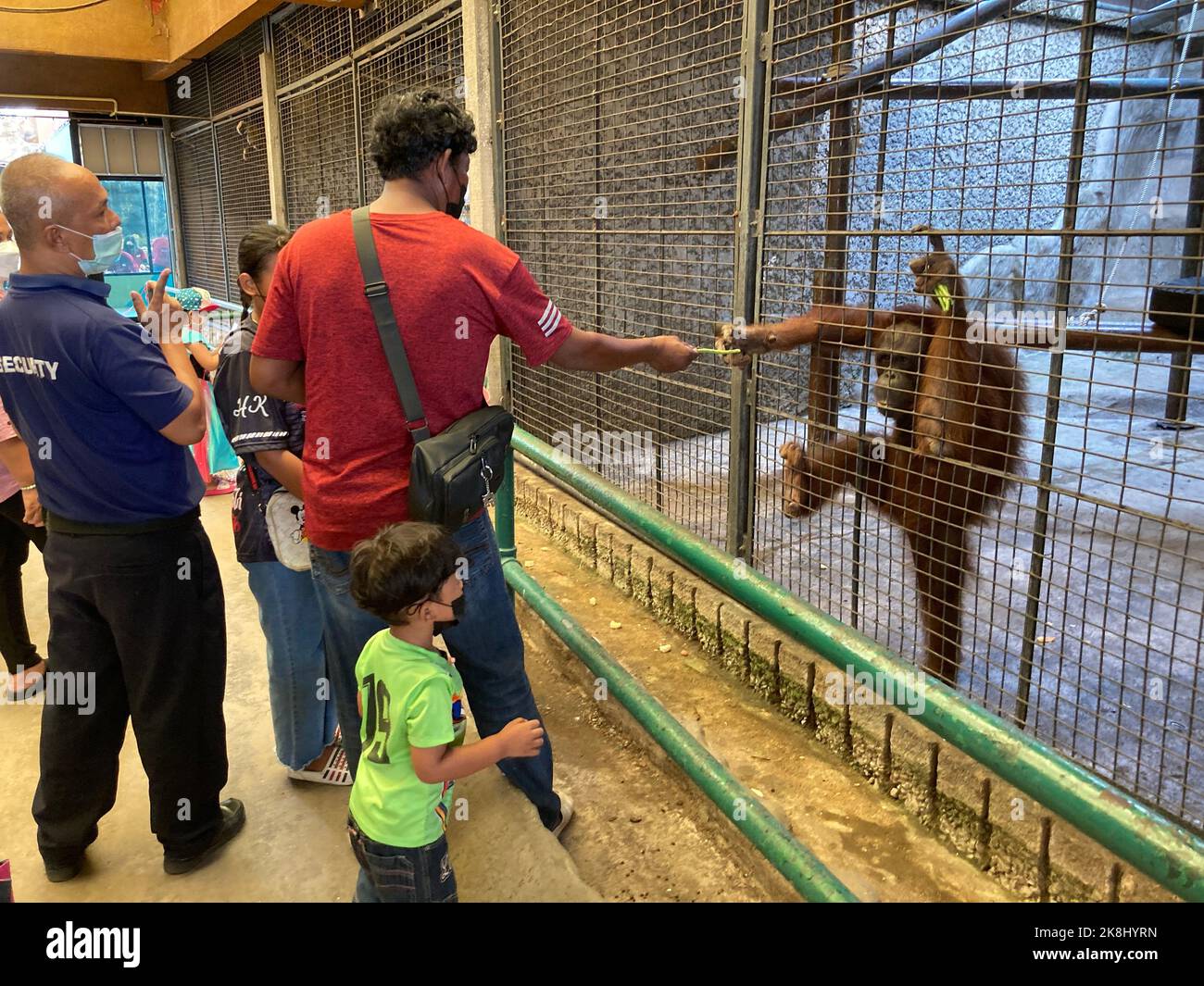 Bangkok, Thailand. 23rd Oct, 2022. Visitors give fruit to an orangutan ...