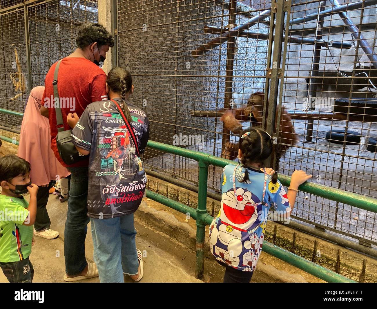 Bangkok, Thailand. 23rd Oct, 2022. Visitors give fruit to an orangutan ...