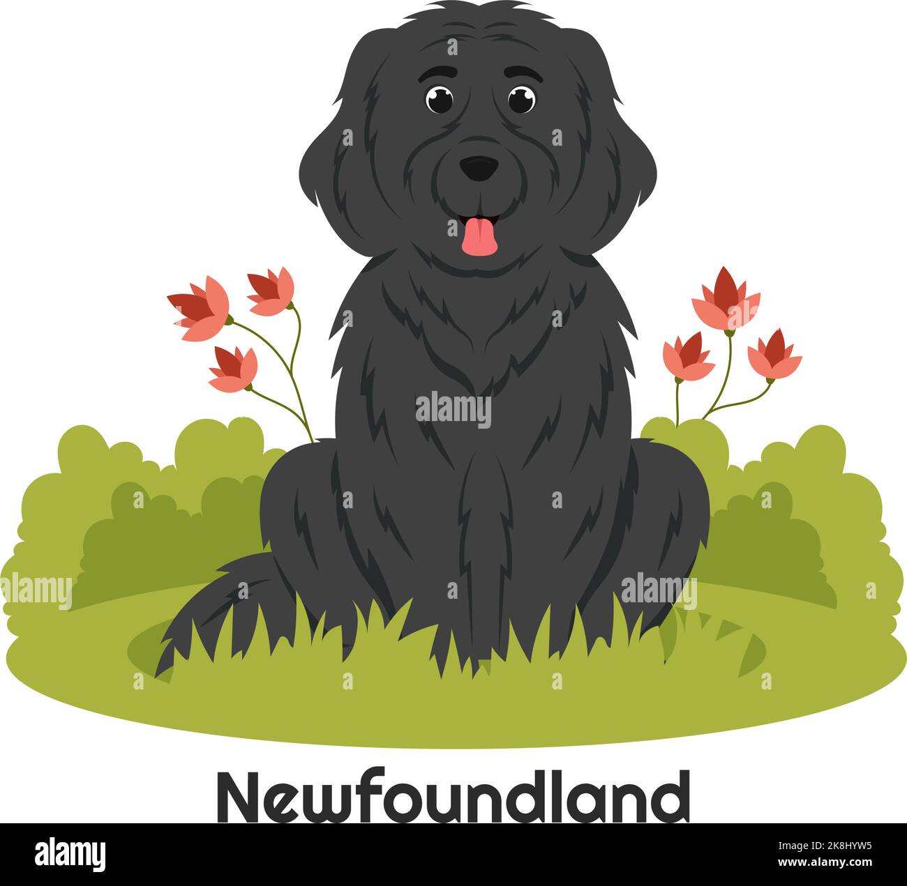 Newfoundland Dog Animals with Black, Brown or Landseer Color in Flat ...