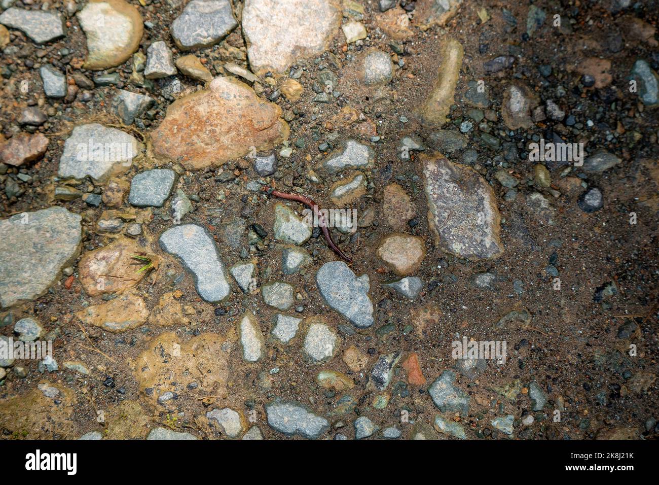 The worm stones hi-res stock photography and images - Alamy