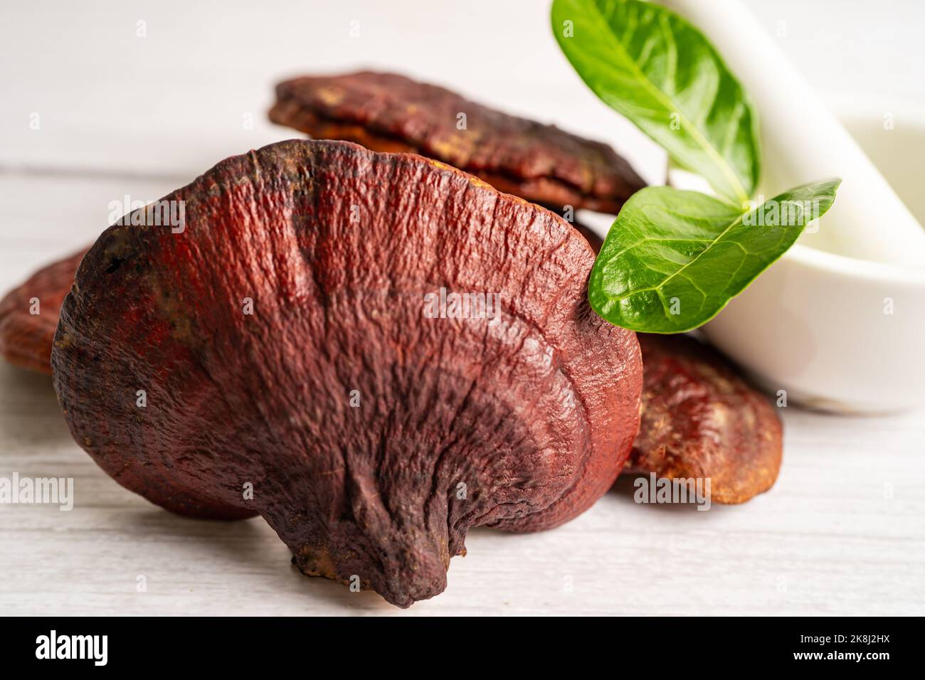 Dried lingzhi mushroom with capsule drug, alternative medicine herbal ...