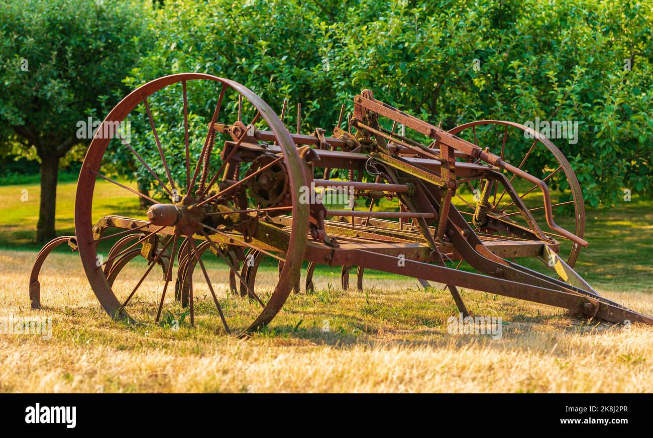 A rusty farm tool in a field. Old hay rake in a rural field on the ...