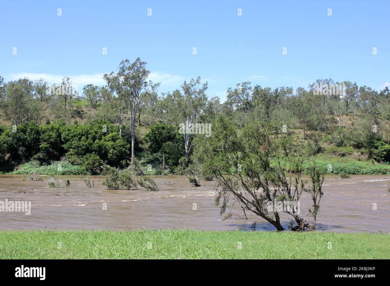 Floodwaters at Mount Crosby Road Colleges Crossing, Brisbane River ...