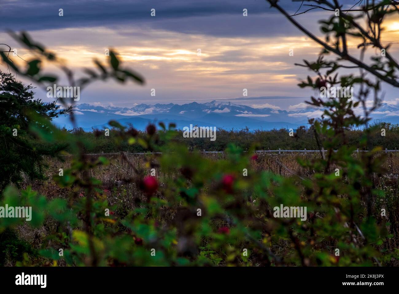 Ebey's Trail, Admiralty Inlet Preserve, Whidbey Island, Washington, USA ...