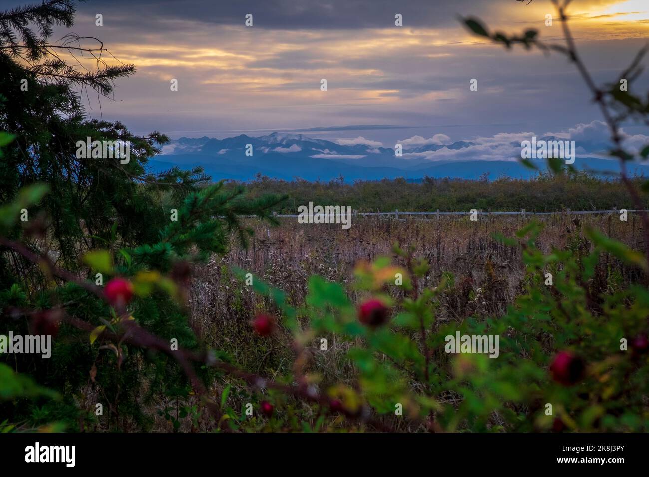 Ebey's Trail, Admiralty Inlet Preserve, Whidbey Island, Washington, USA ...