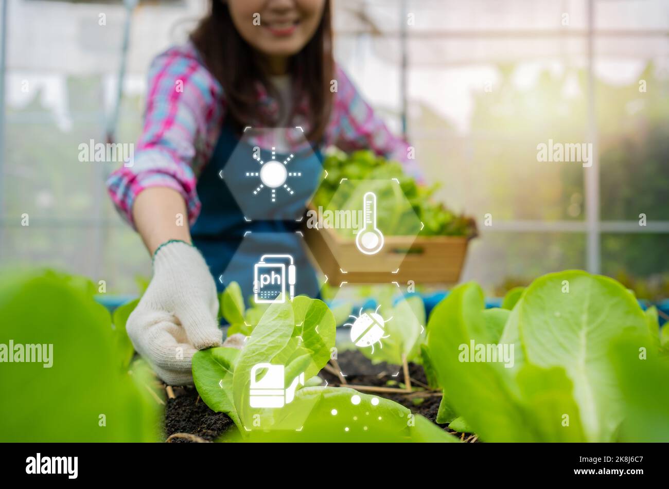 Concept of processing the cultivation of agricultural field with ...